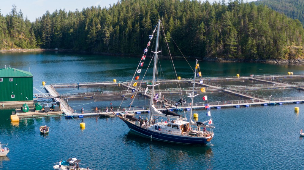 Pamela Anderson and First Nations Board Salmon Farms in BC — Sea ...