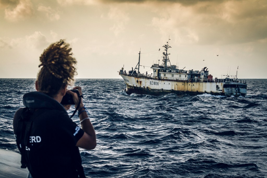 Watch Sea Shepherd Conservation Society's Latest Videos