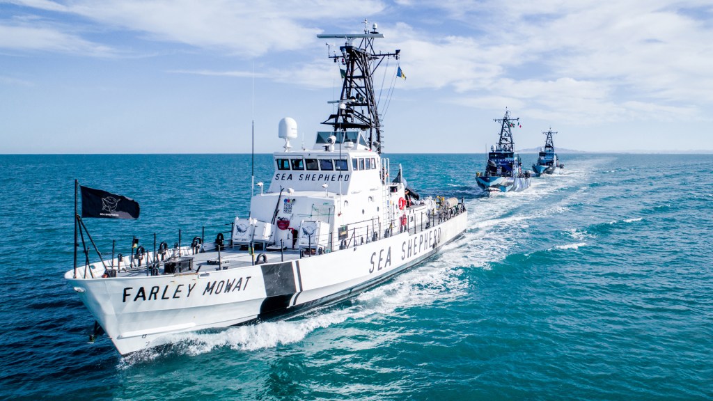 Crew Member Form — Sea Shepherd Conservation Society