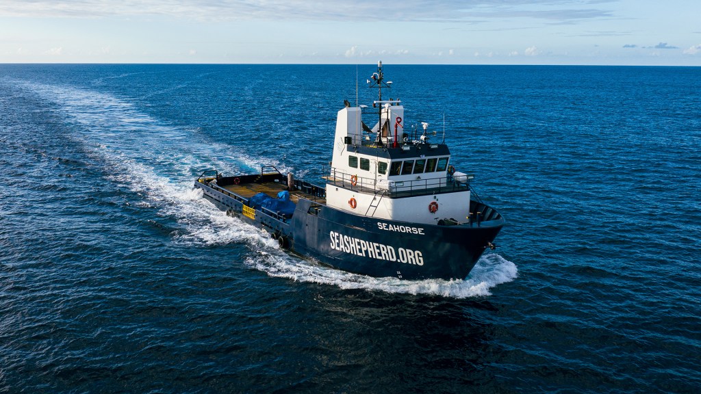 Sea Shepherd Latam — Sea Shepherd Conservation Society