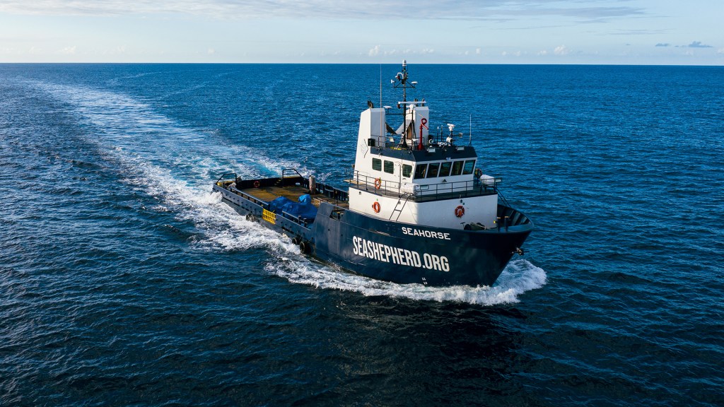 Our Growing Fleet, 100% from Charity Navigator and 2023 Re-Cap — Sea ...