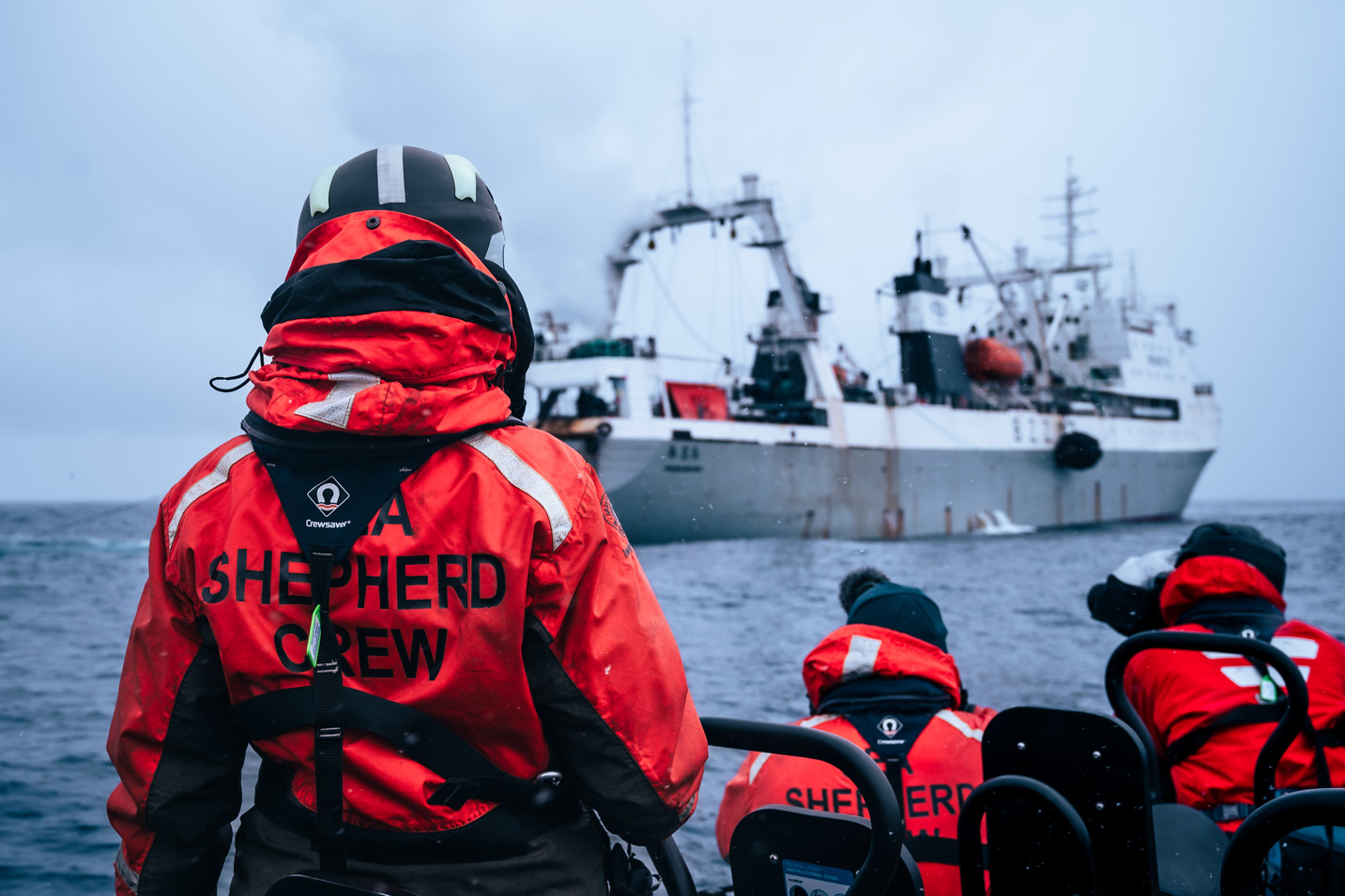 Global Biodiversity in Crisis: How Sea Shepherd is Contributing to the ...