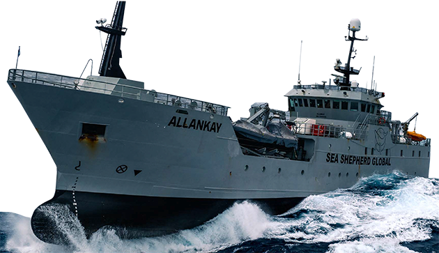 Our Fleet — Sea Shepherd Conservation Society