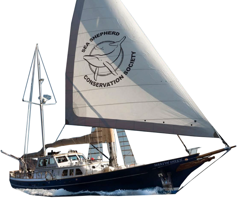 Our Fleet — Sea Shepherd Conservation Society