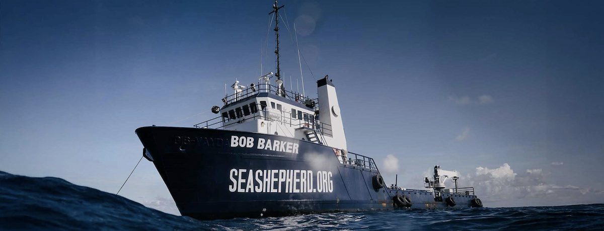 Sea Shepherd’s Approach: Direct Action for Ocean Conservation — Sea ...