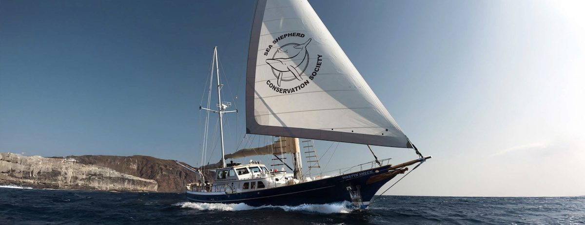 Martin Sheen: Expedition Class — Sea Shepherd Conservation Society