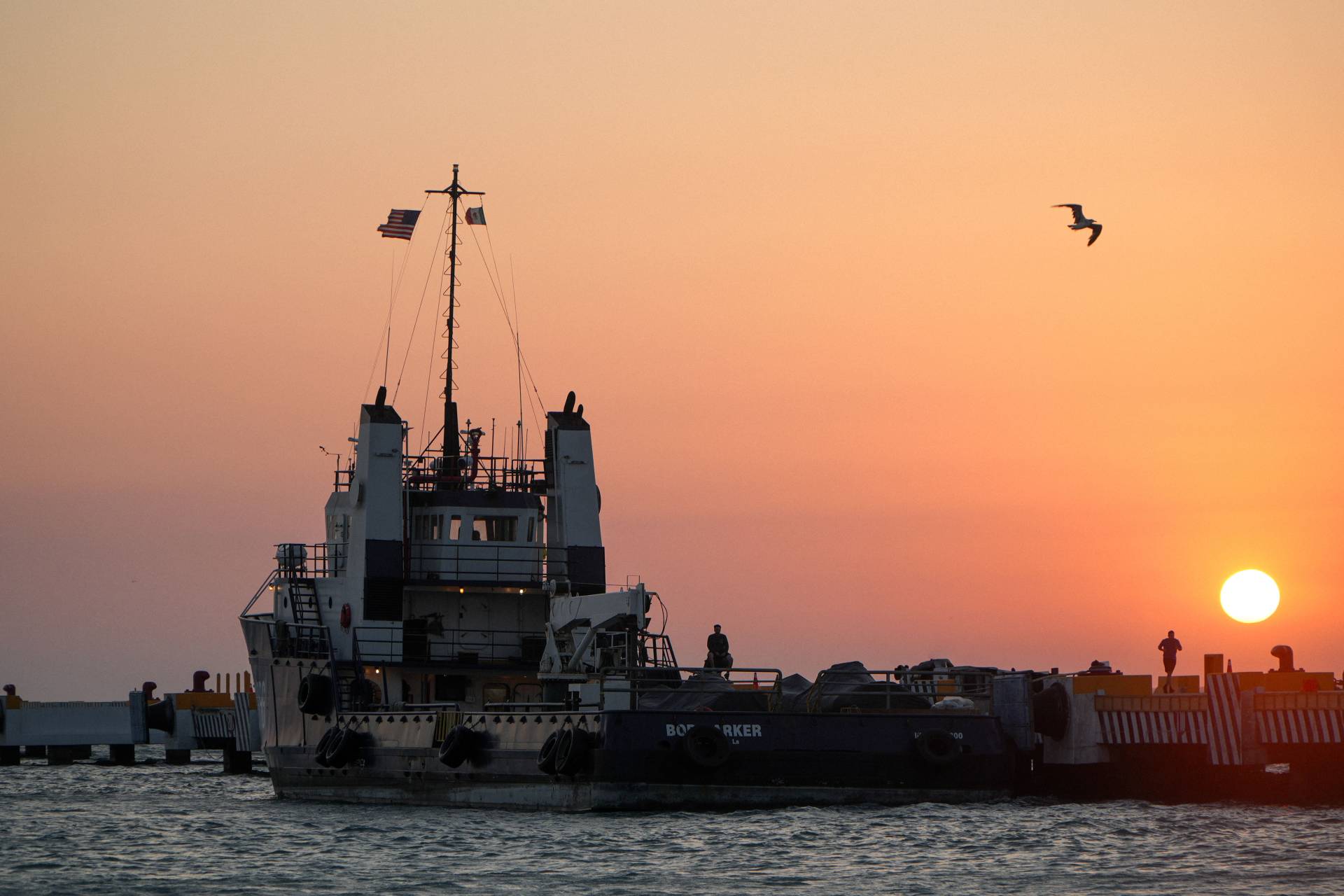 Home Page New — Sea Shepherd Conservation Society